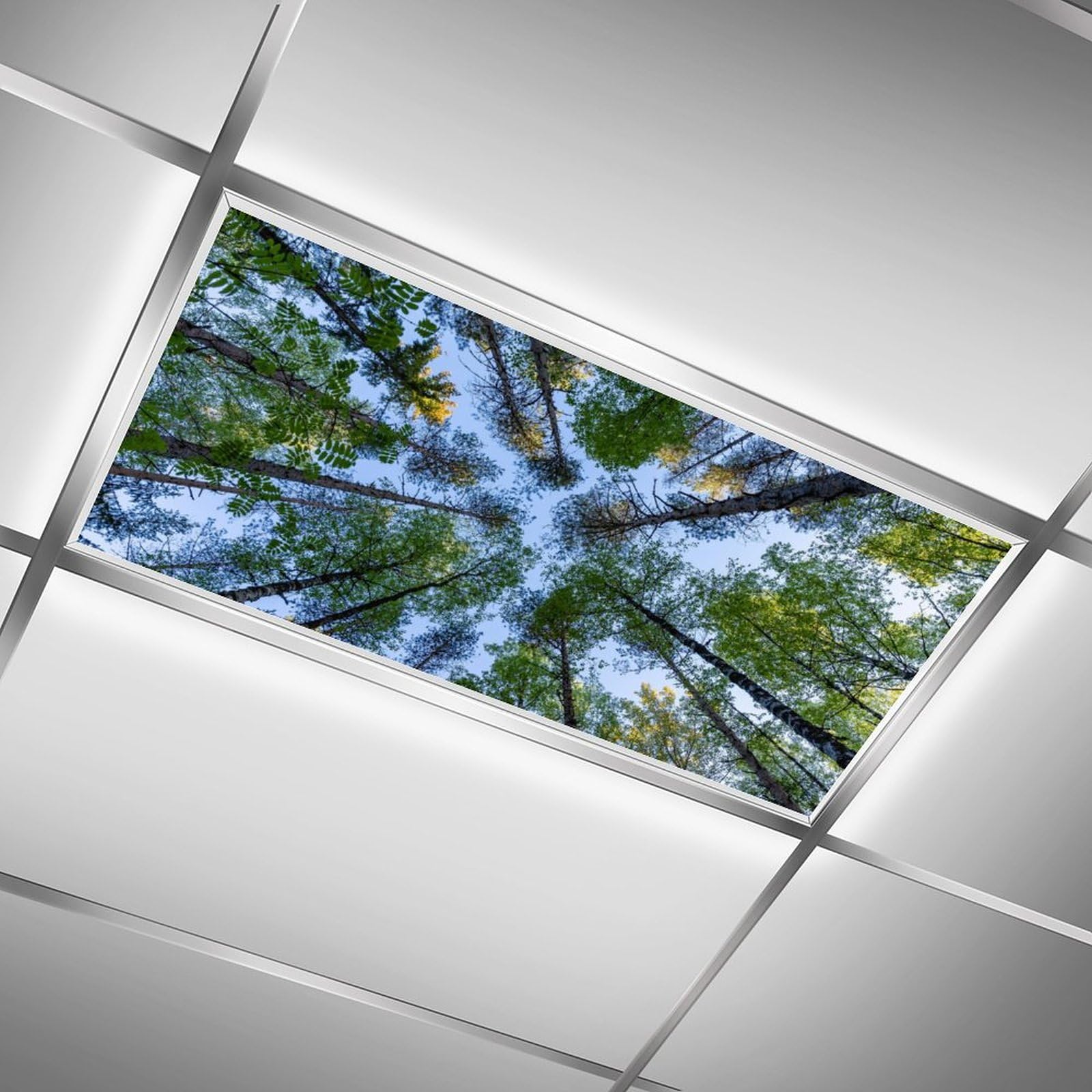 Fluorescent Light Cover for Classroom - 2 Pcs Lots of trees Magnetic ...