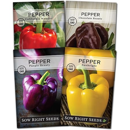 Amazon.com : Sweet Bell Pepper Seeds Collection, 200 Seeds, 4 Heirloom ...