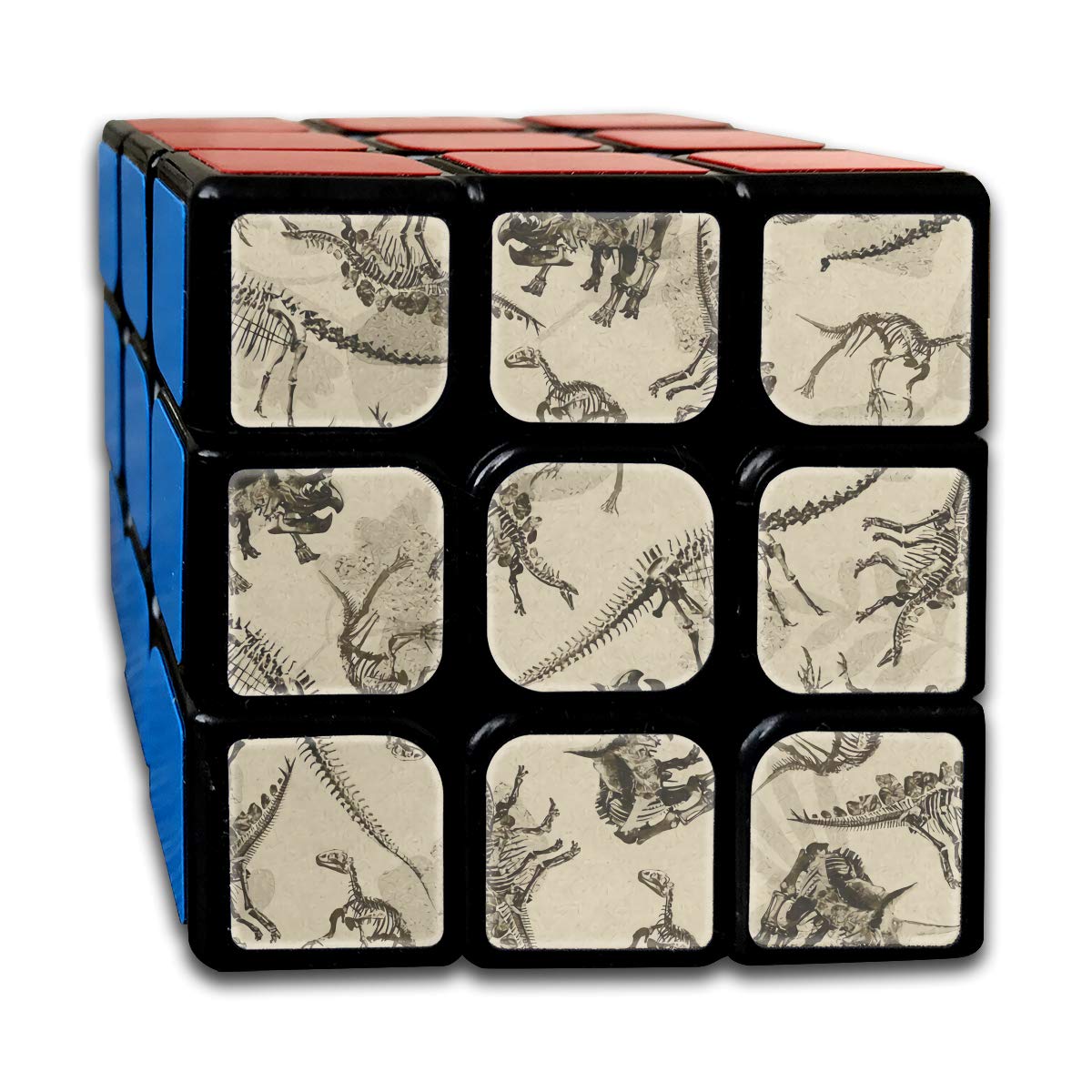 Rubiks Cube By Daiyu Dinosaurs Ancient Bones Sillouette 3x3 Smooth ...