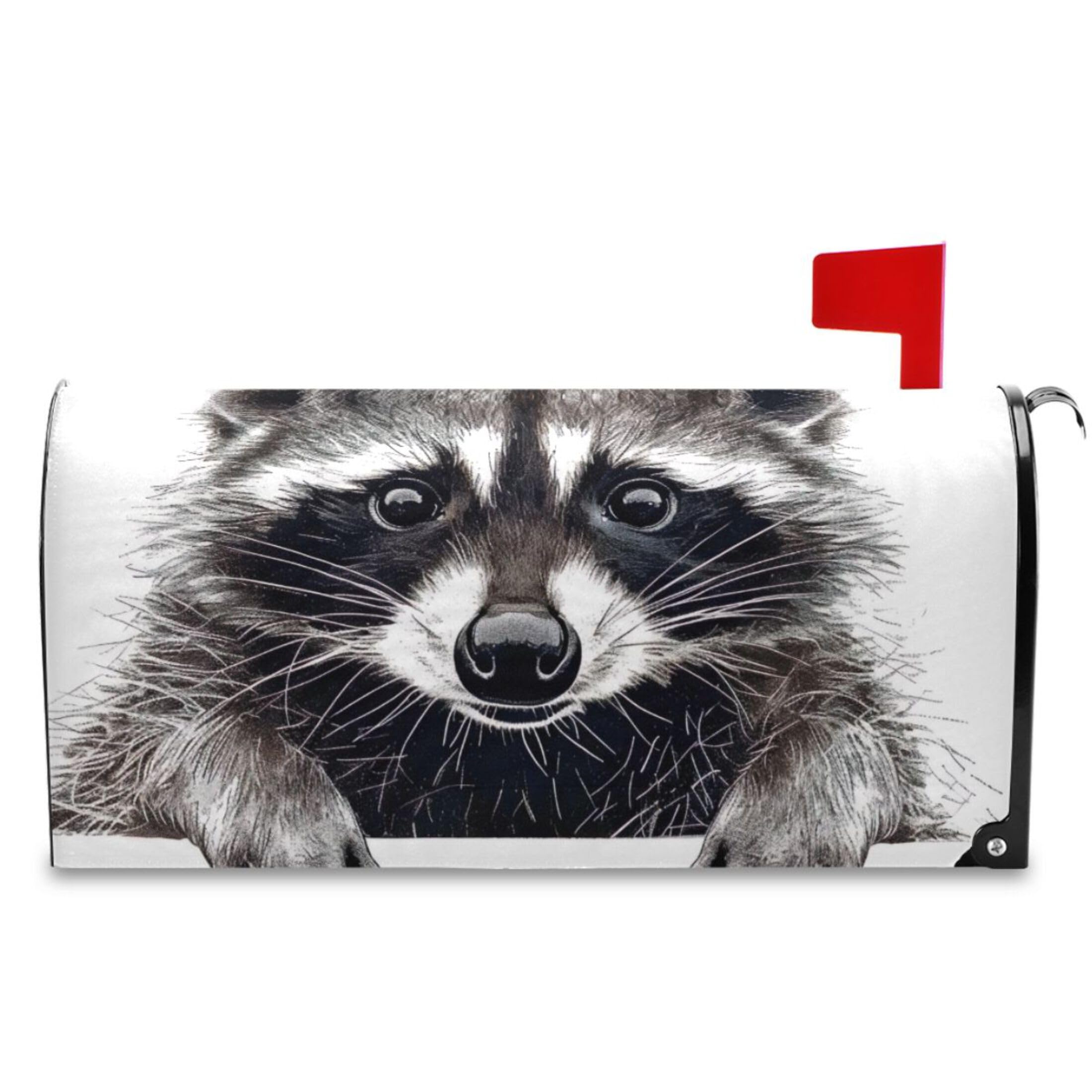 Dibujo De Mapache En Blanco Y Negro Dibujo De Mapache Blanco Y Negro