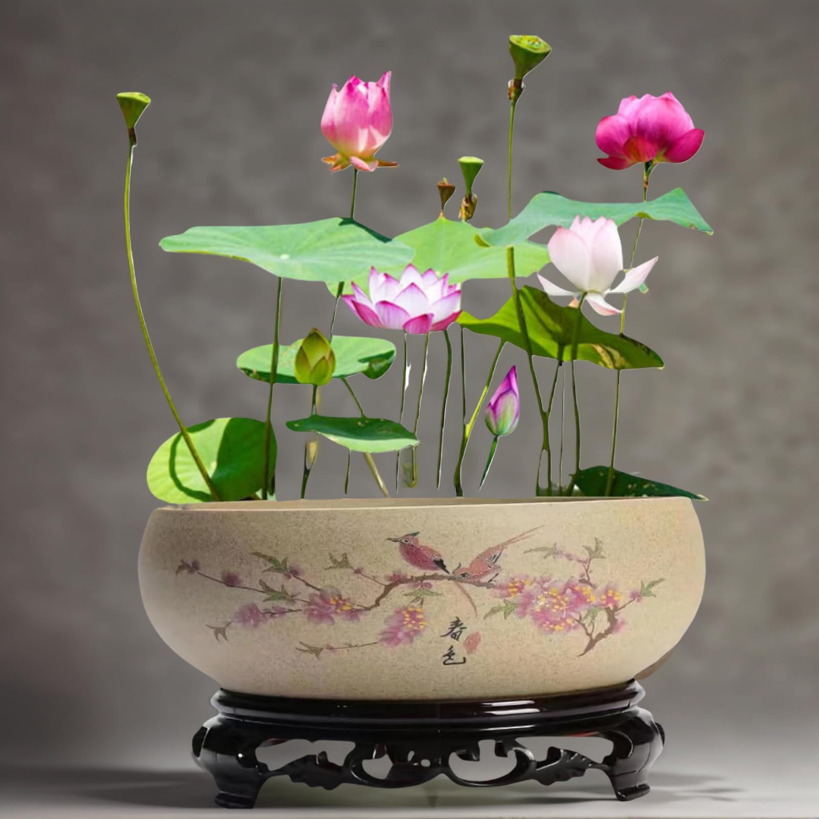 Amazon.com : Lotus Bowl Planter with Stand, Ceramic Lotus Bowl, Round ...