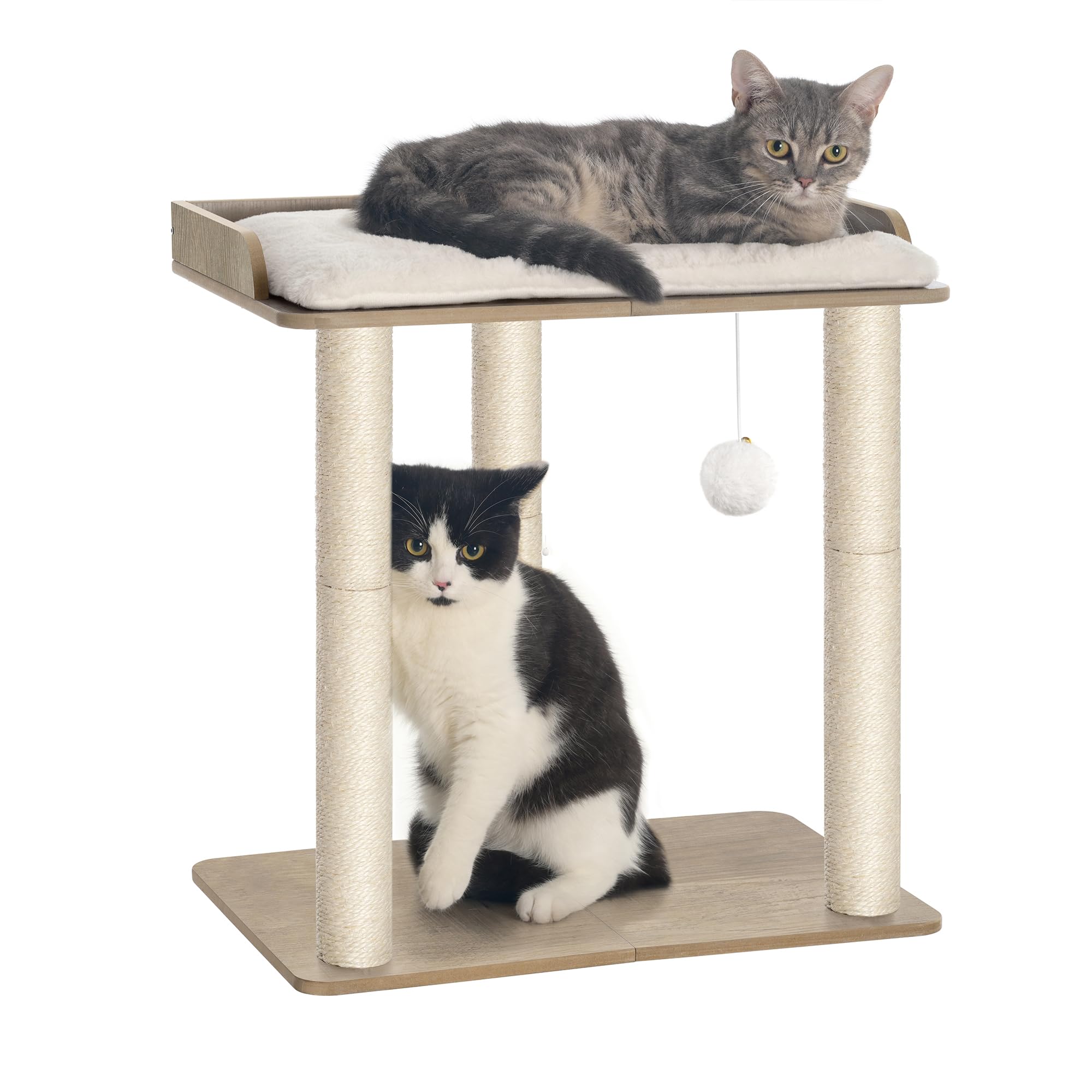 Amazon.com : FourFurPets 22in Cat Tree Tower Condo, Cat Scratch Posts ...