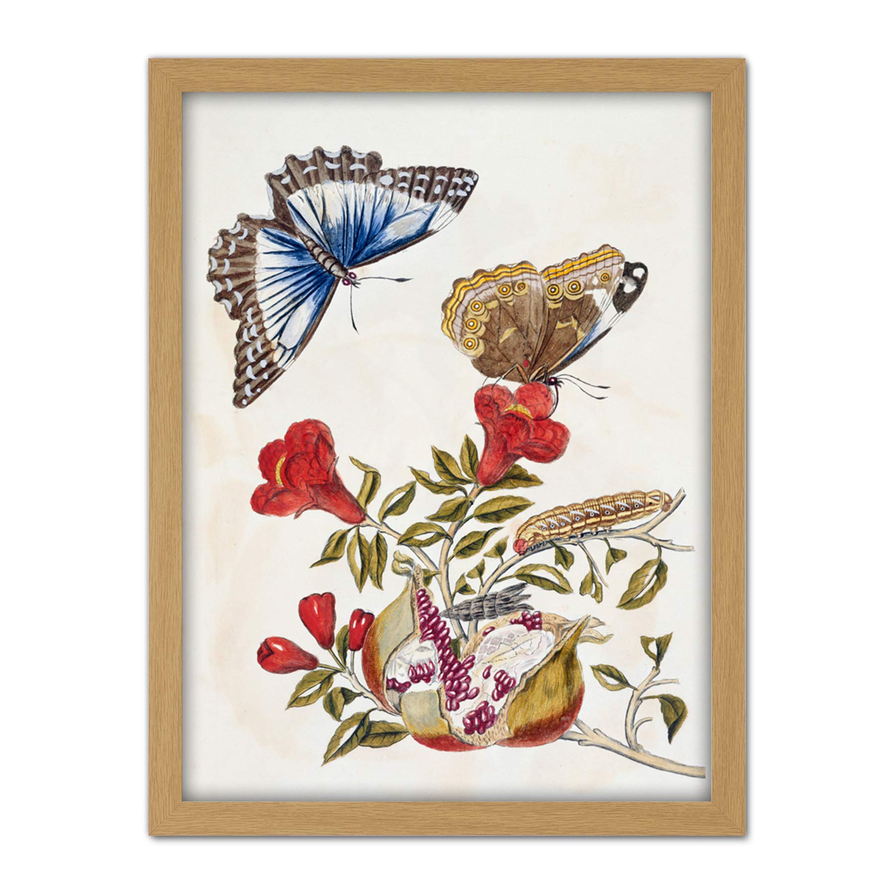 Butterfly Metamorphosis Art