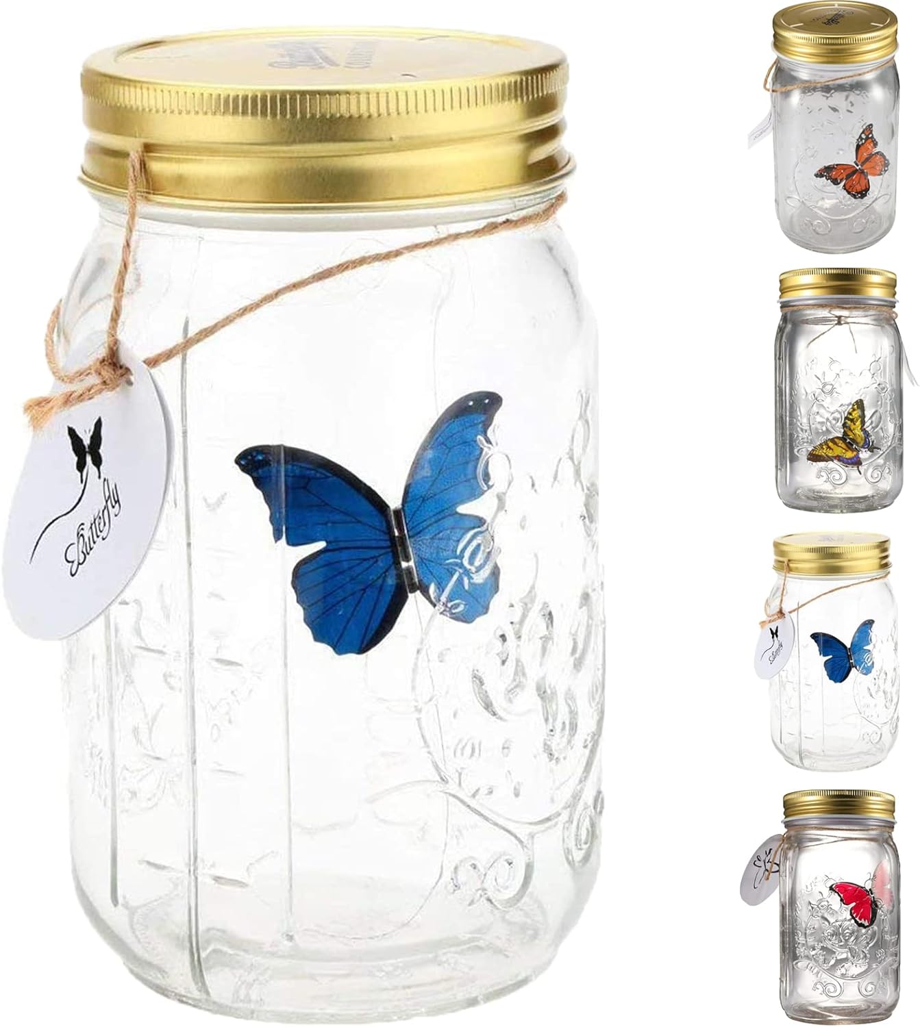 Amazon.com: Tianfry Butterfly Collection Jar, Butterfly in a Jar That ...