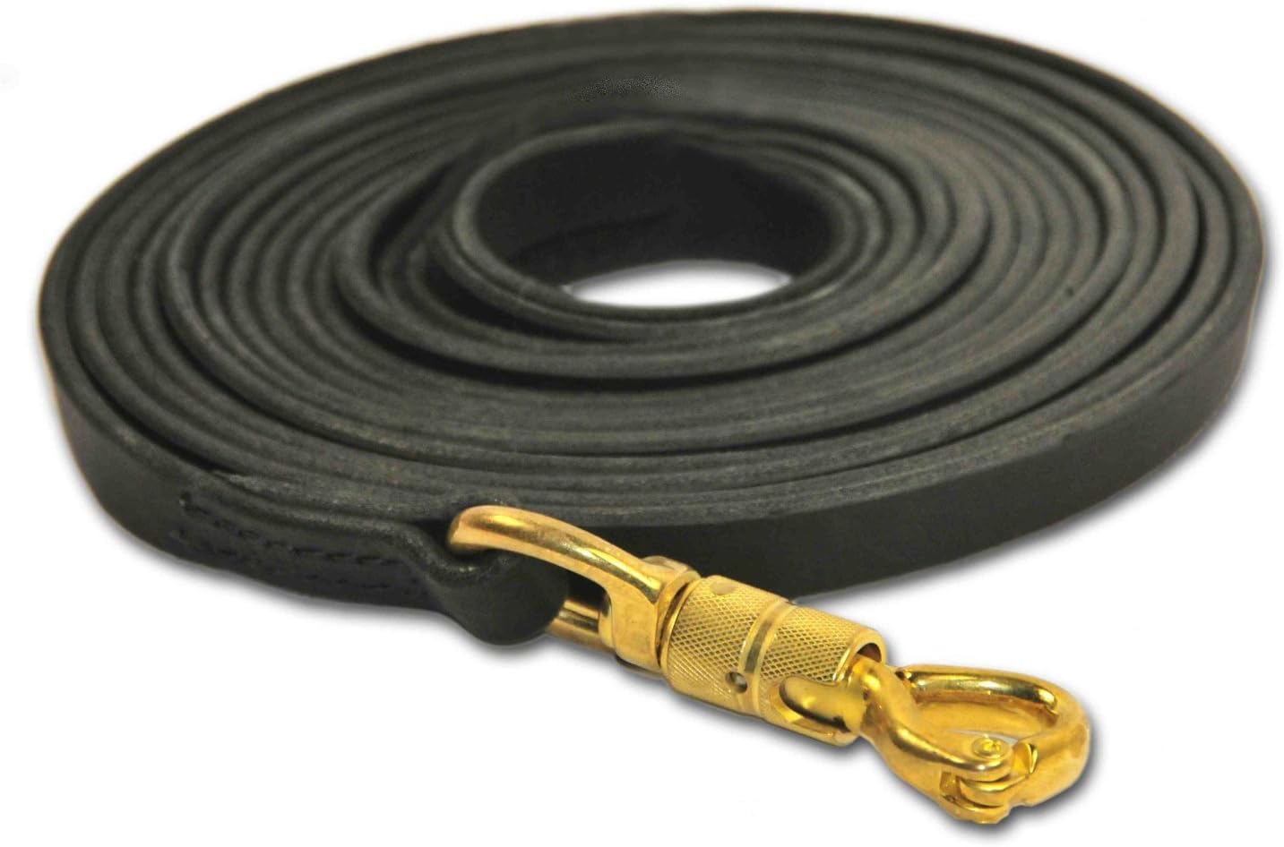 Amazon.com : Dean and Tyler Stitched Track Dog Leash, Black 50-Feet by ...