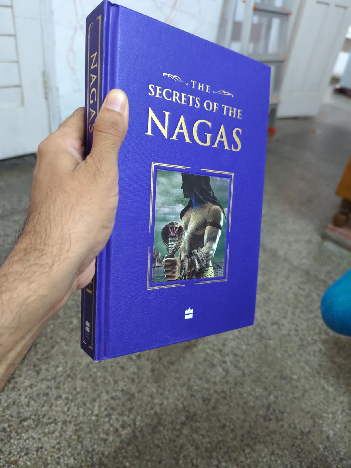 Buy The Shiva Triology Boxset of 3 Books (Perfect Gift for this Festive ...