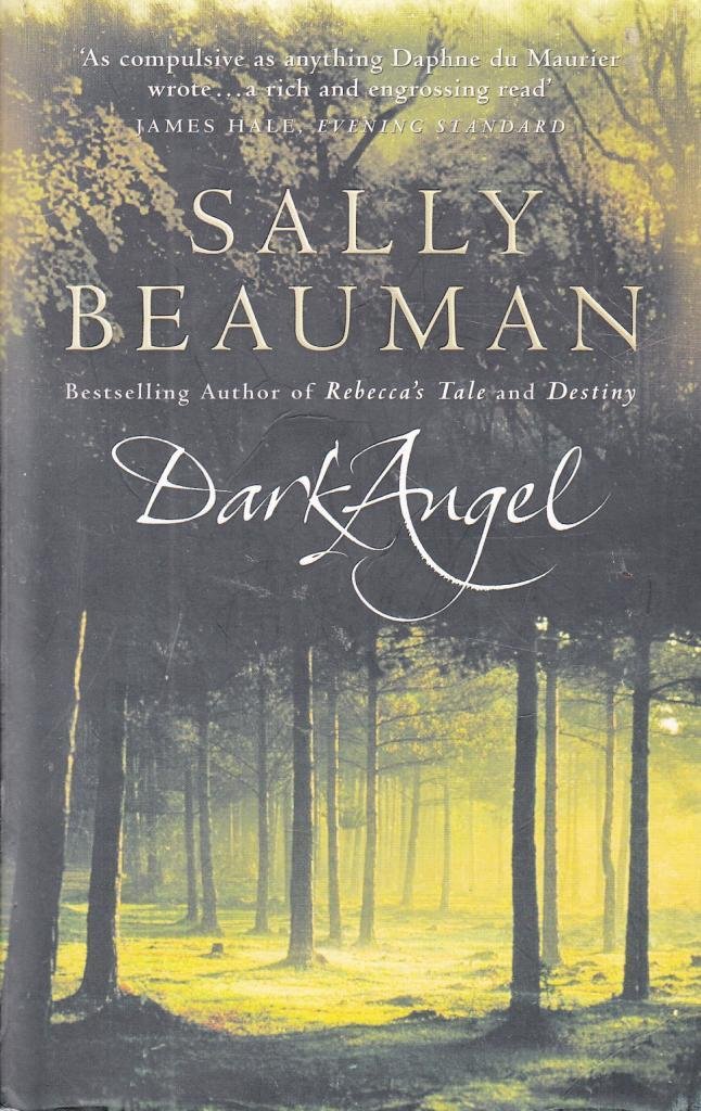 Dark Angel: Amazon.co.uk: Beauman, Sally: 9780751534658: Books
