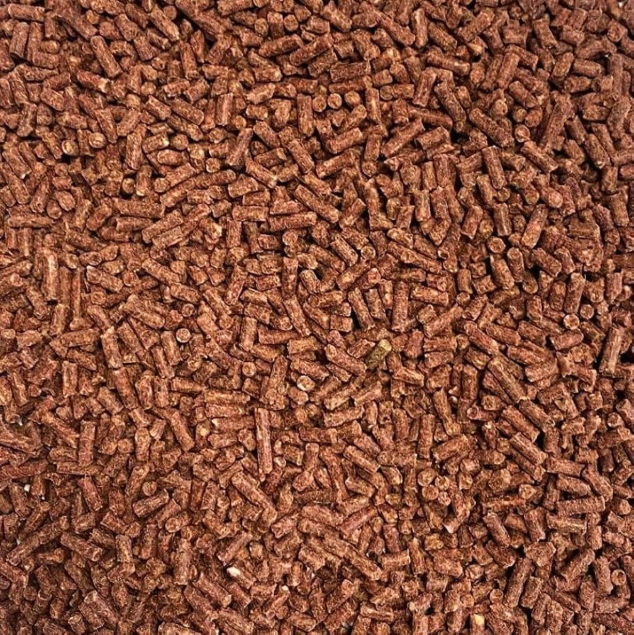 Bloodworm Sinking Pellets Fish Food 700g NEW FORMULA. Suitable for ...