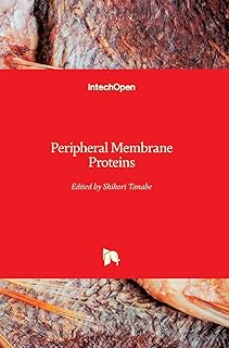 Understanding Peripheral Membrane Proteins: Their Function And Role ...