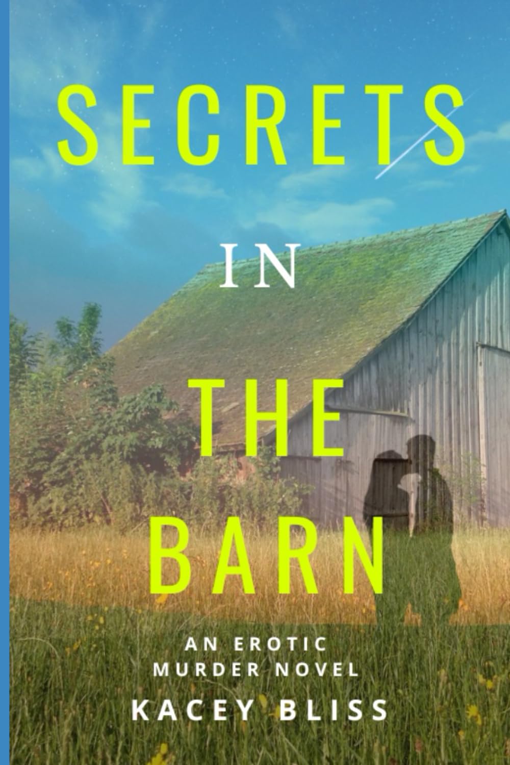 Secrets in the Barn (The Farm Stories): Coco, K, Cocozza, Kimberly ...