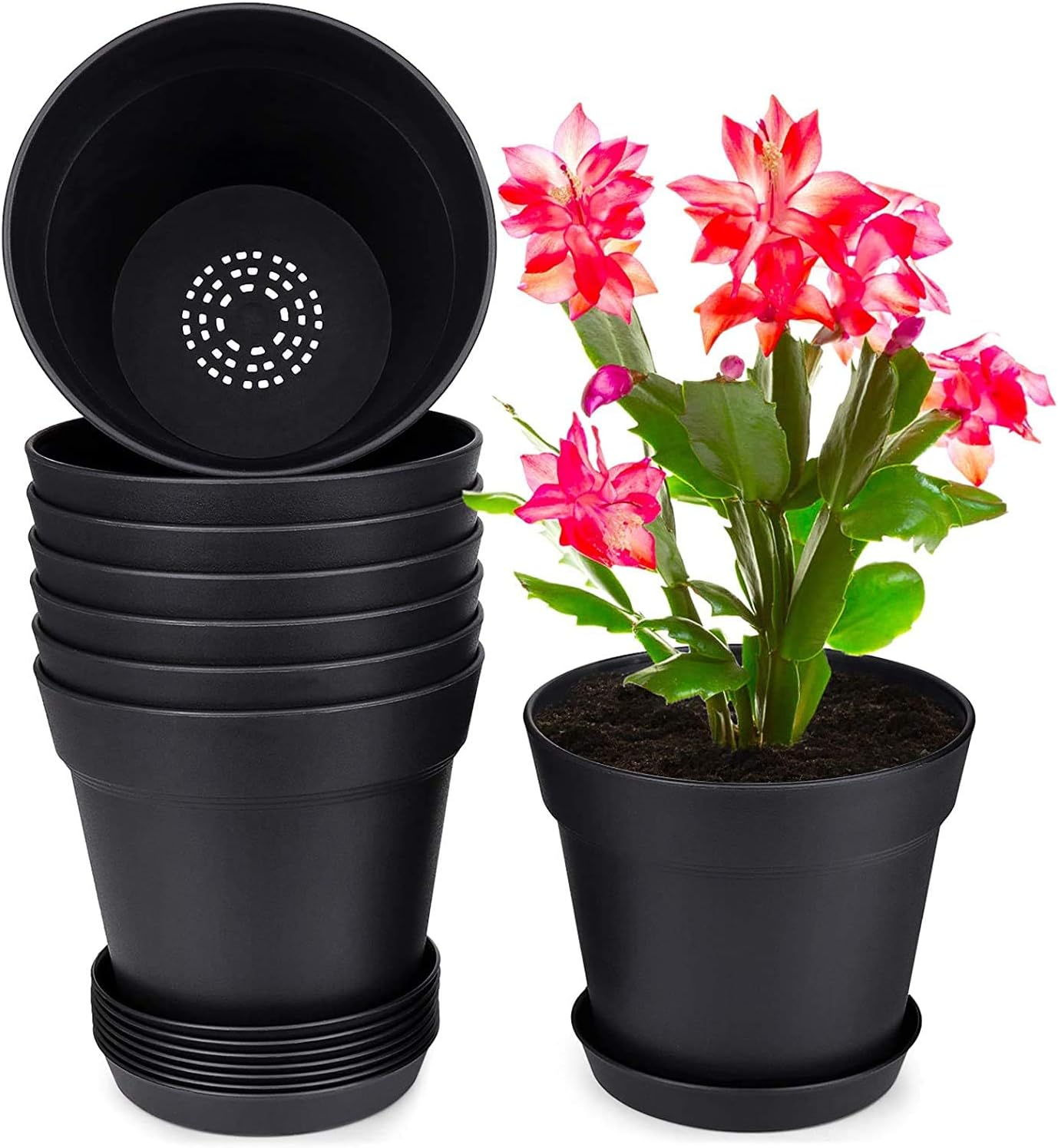 Amazon.com: Lifemaster Plant Pots with Multi Drainage Holes - 10 Pieces ...
