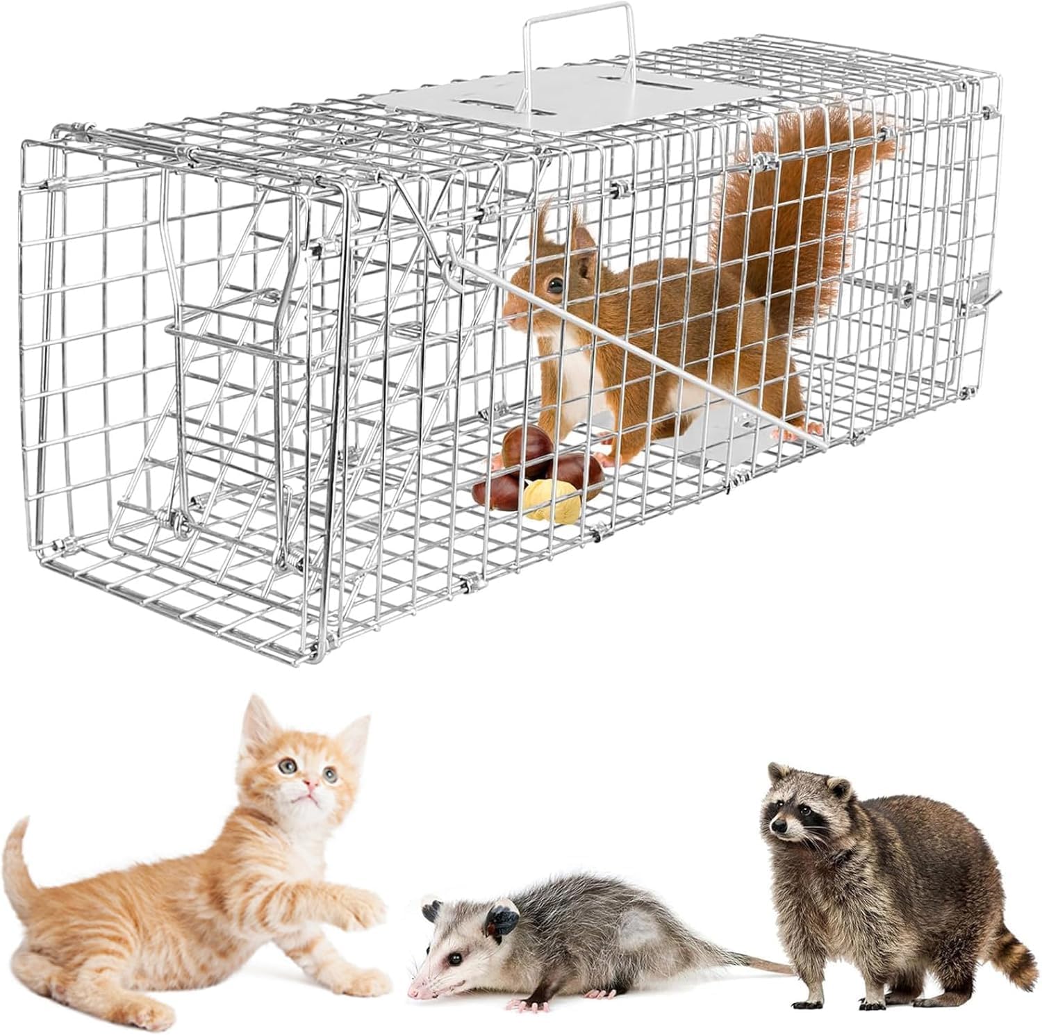 Amazon.com : Live Animal Trap Cage, Heavy Duty Folding Humane Catch ...