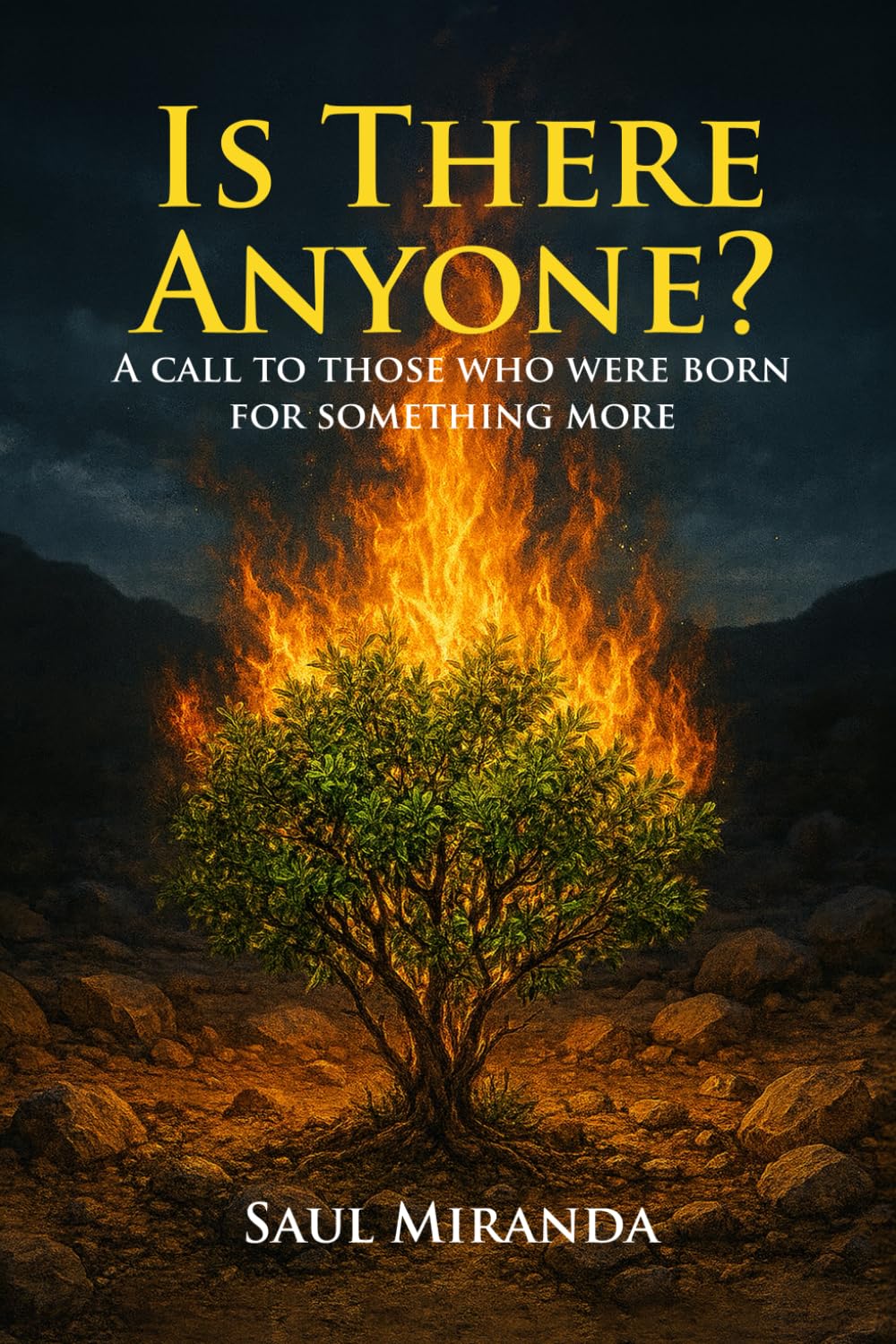 Book review of Is There Anyone? - Readers' Favorite: Book Reviews and ...