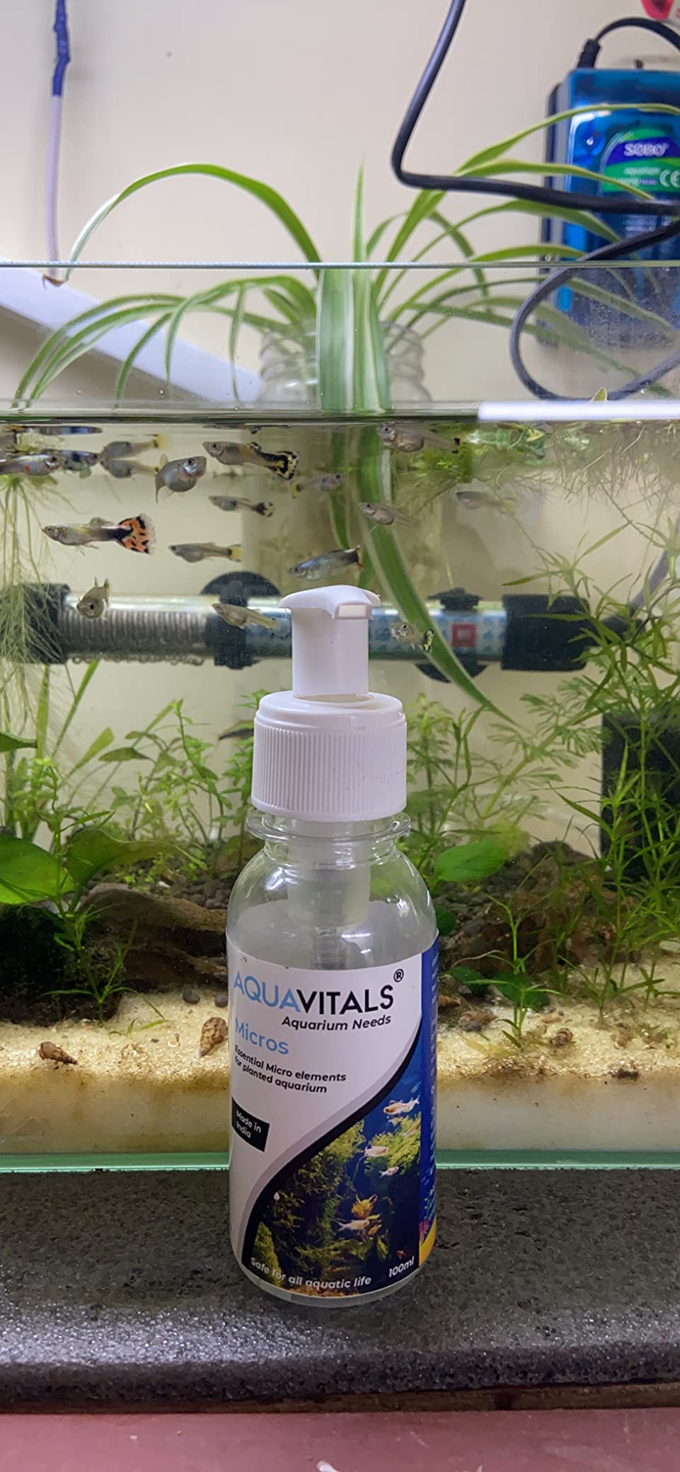 AquaVitals MICROS - Aquarium Plant Nutrient Supplement | (500ml ...