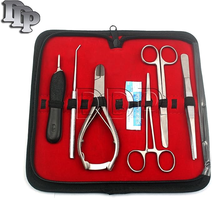 Reef Tank Gift Guide - Best Saltwater Aquarium Owners Gifts