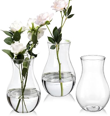Amazon.com: Clear Circular Cone Glass Wall Hanging Vase Flower Vase ...