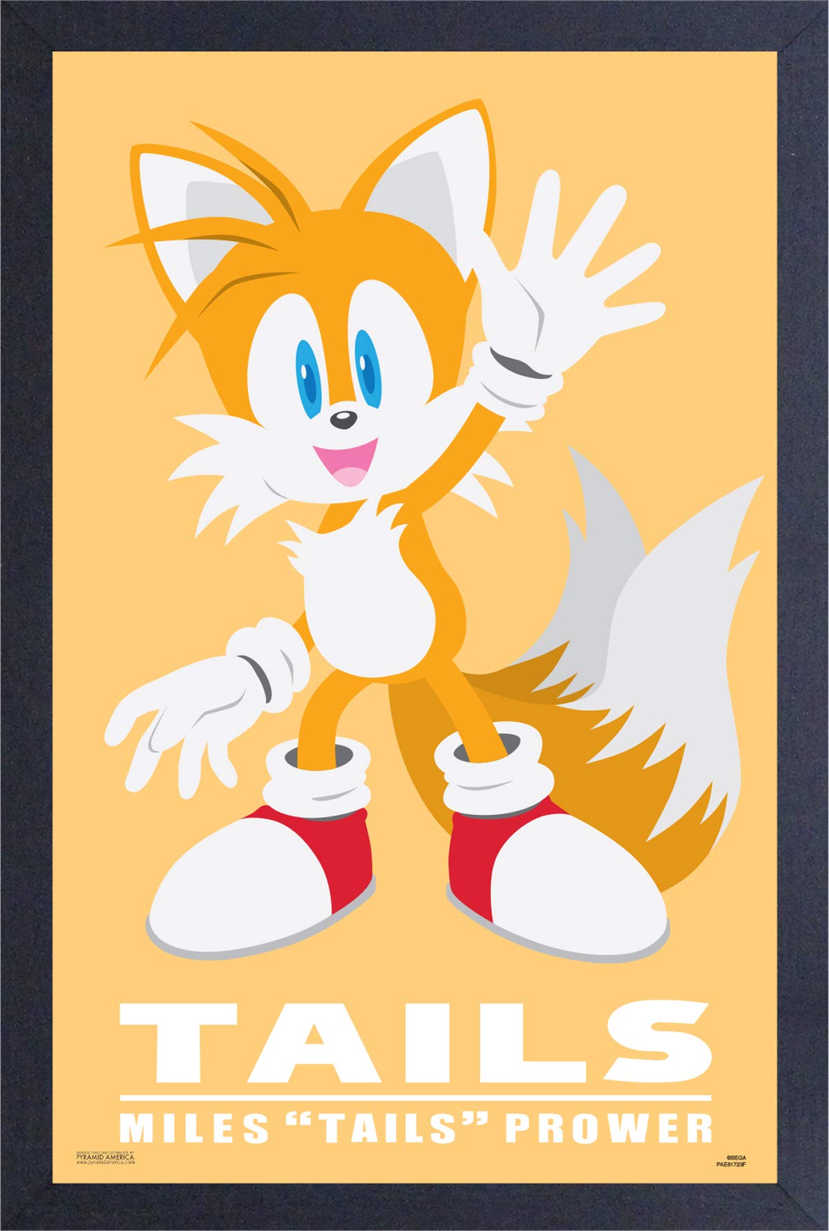 Tails Sonic X Screenshots Sonic'S Bad News To Tails Sonic X GIF