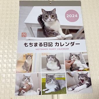 Amazon.co.jp: Mochimaru Diary, Mochi-sama A4 B4 Calendar DAISO Daiso ...