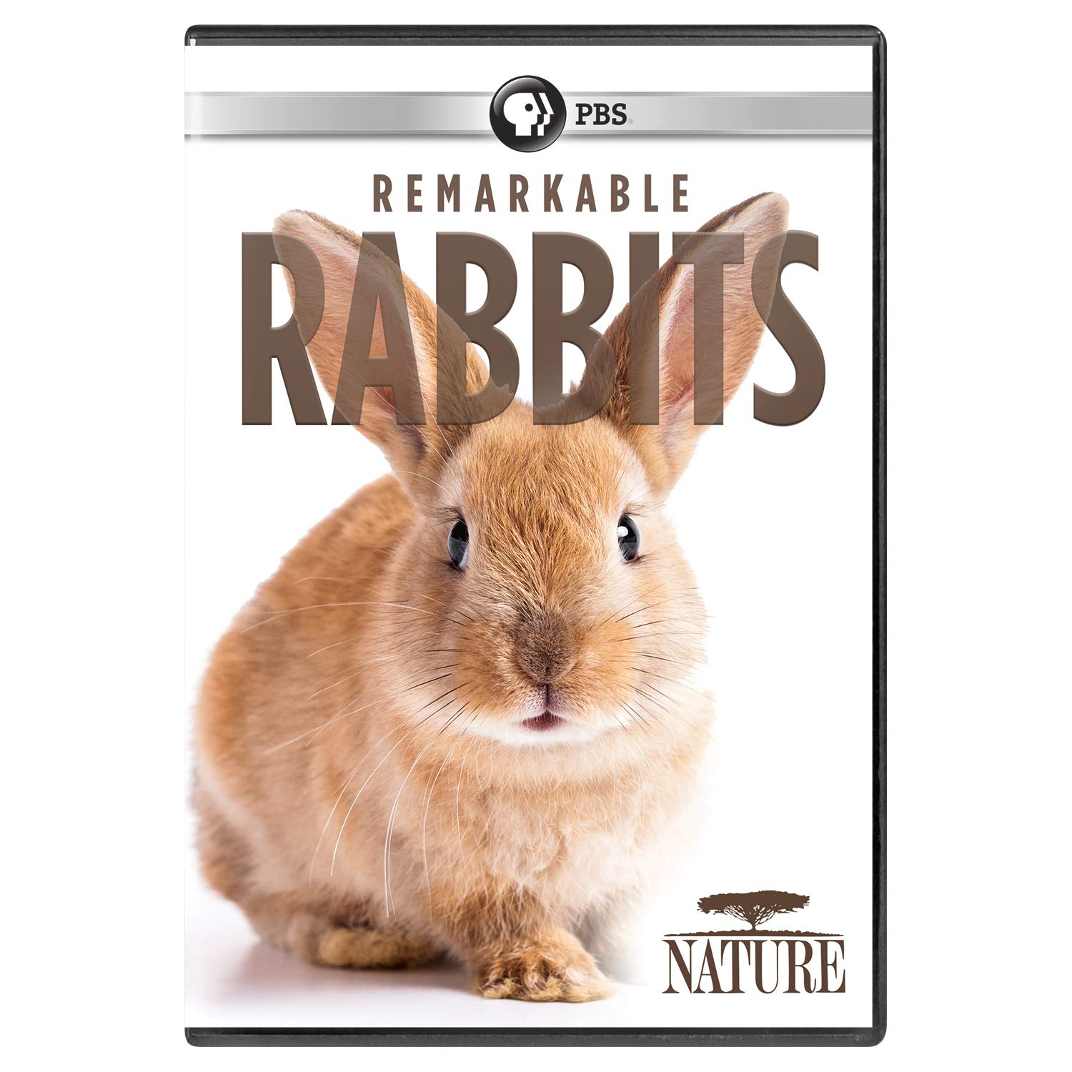 Amazon.com: NATURE: Remarkable Rabbits : n/a, Susan Fleming: Movies & TV