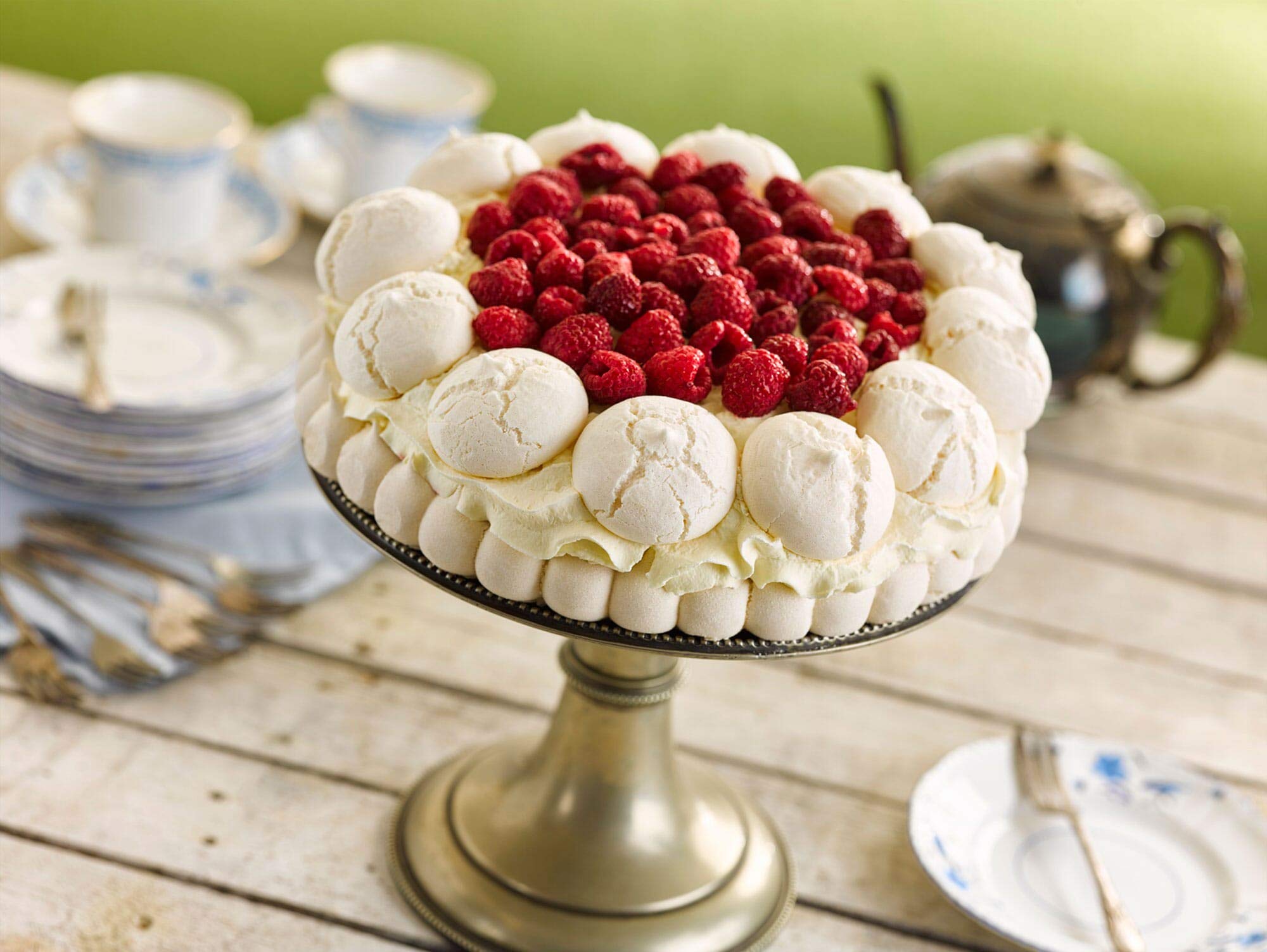 Menuserve Frozen Gluten Free Raspberry Pavlova - 1x12ptn : Amazon.co.uk ...