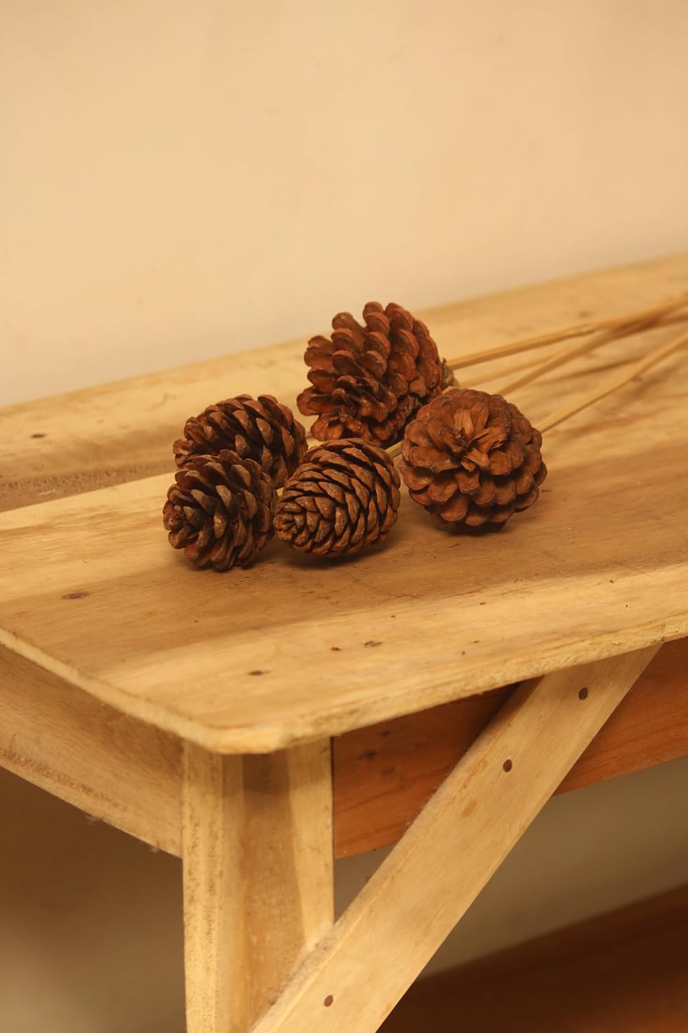 Vanchai Natural Dried Pine Cones 4 Pieces Pinecone On Sticks / stem - 6 ...