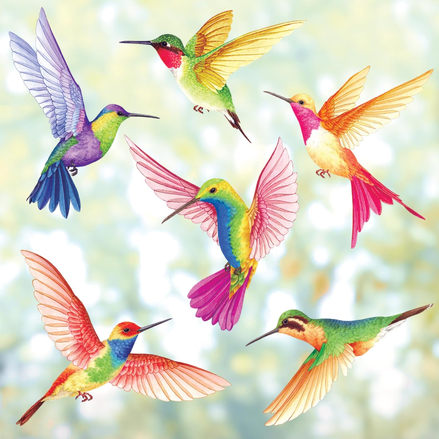 8 Mixed Beautiful Humming Bird Static Cling Window Stickers ...