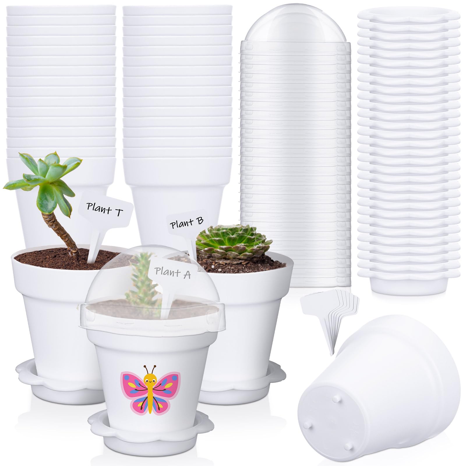 Amazon.com: Jingmore 30 Pcs Plant Nursery Pots with Humidity Dome 2.95 ...