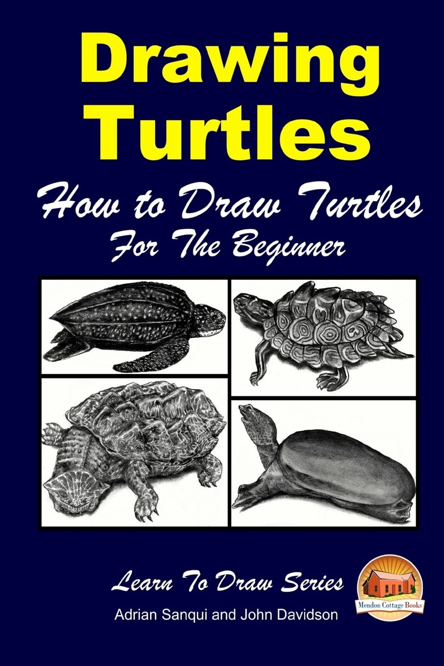 Drawing Turtles - How to Draw Turtles For the Beginner: Sanqui, Adrian ...