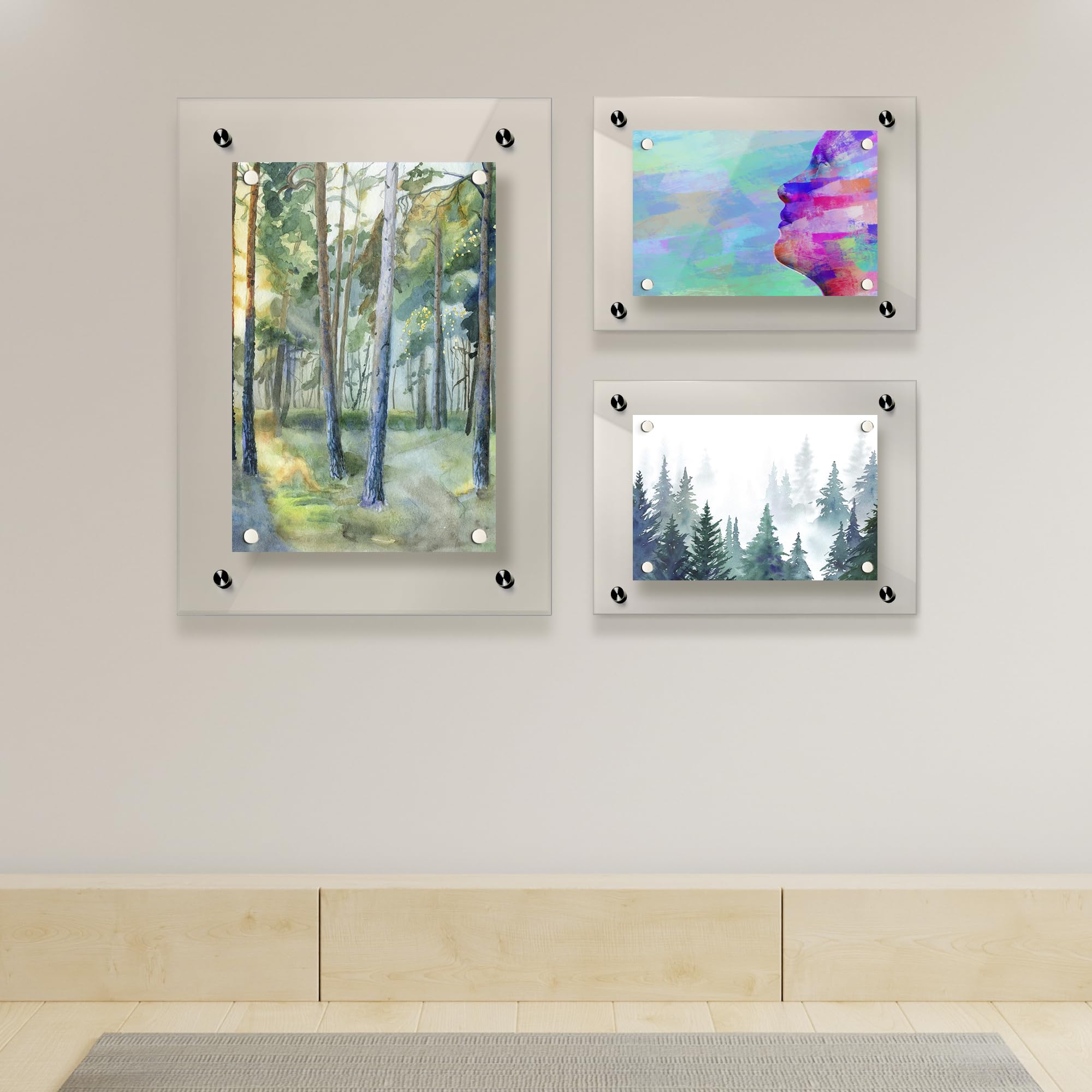 Fab Glass and Mirror Acrylic Floating Frame 19x23, for Photo up to ...