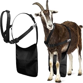 The Art Of Restraining Goats: A Step-By-Step Guide | PetShun