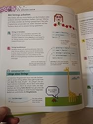 Spiele mit Python® supereasy programmieren (Programmieren supereasy) : Vorderman, Carol: Amazon ...