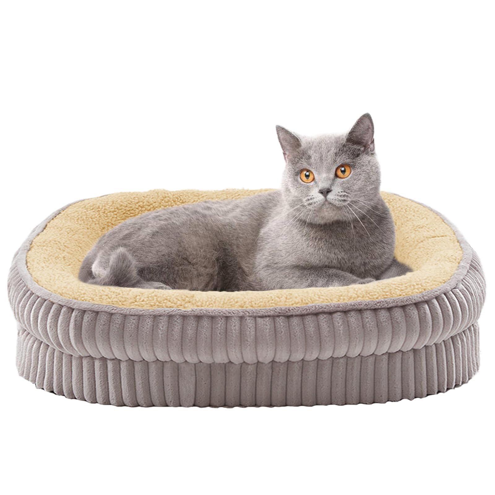 Amazon.com : DEBANG HOME Orthopedic Dog Bed for Puppy,Extra Small Dogs ...