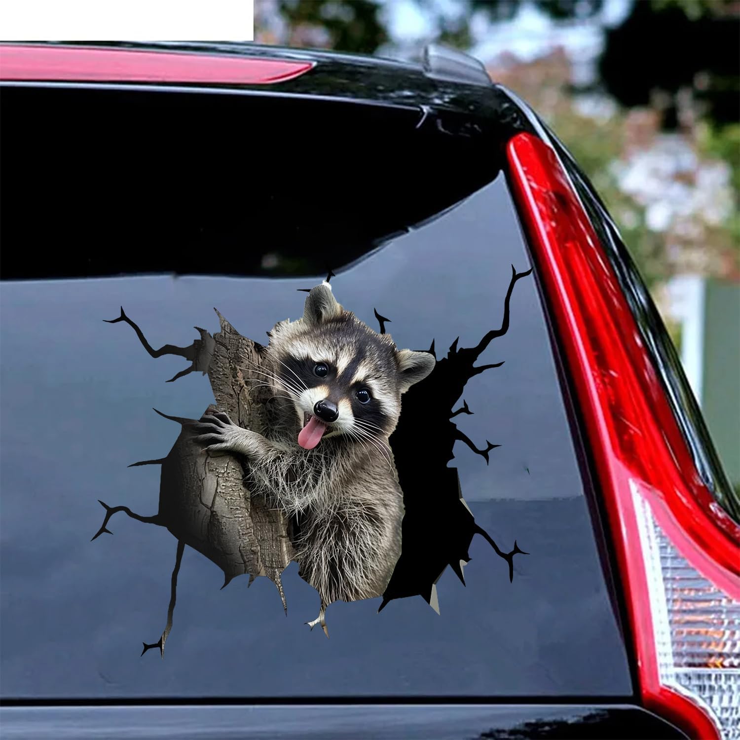 Amazon.com: Raccoon Stickers, Rocking Raccoon Decals - 3D Realistic ...