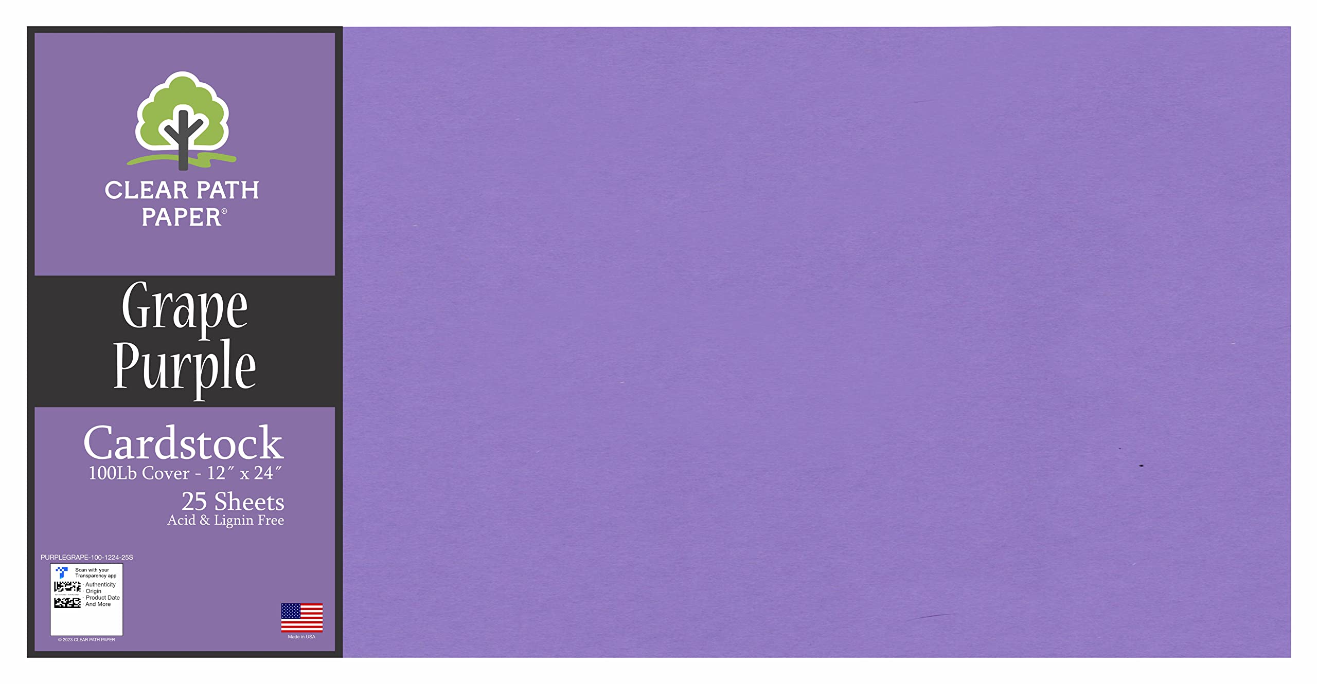 Amazon.com : Grape Purple Cardstock - 12 x 24 inch - 100Lb Cover - 25 ...