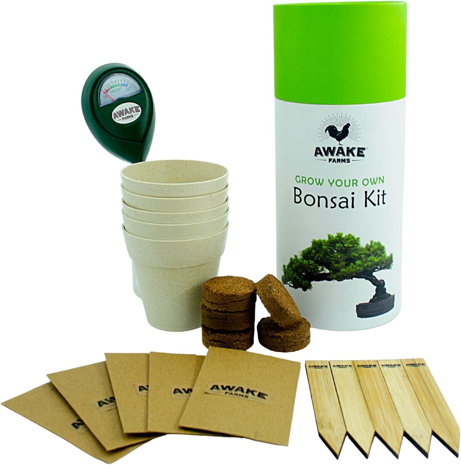 Amazon.com : Baobab Bonsai Tree Seeds - 5 Seeds to Grow - Highly Prized ...