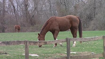 Amazon.com : Canon VIXIA HF R50 Full HD Camcorder with Wi-Fi and 3-Inch ...