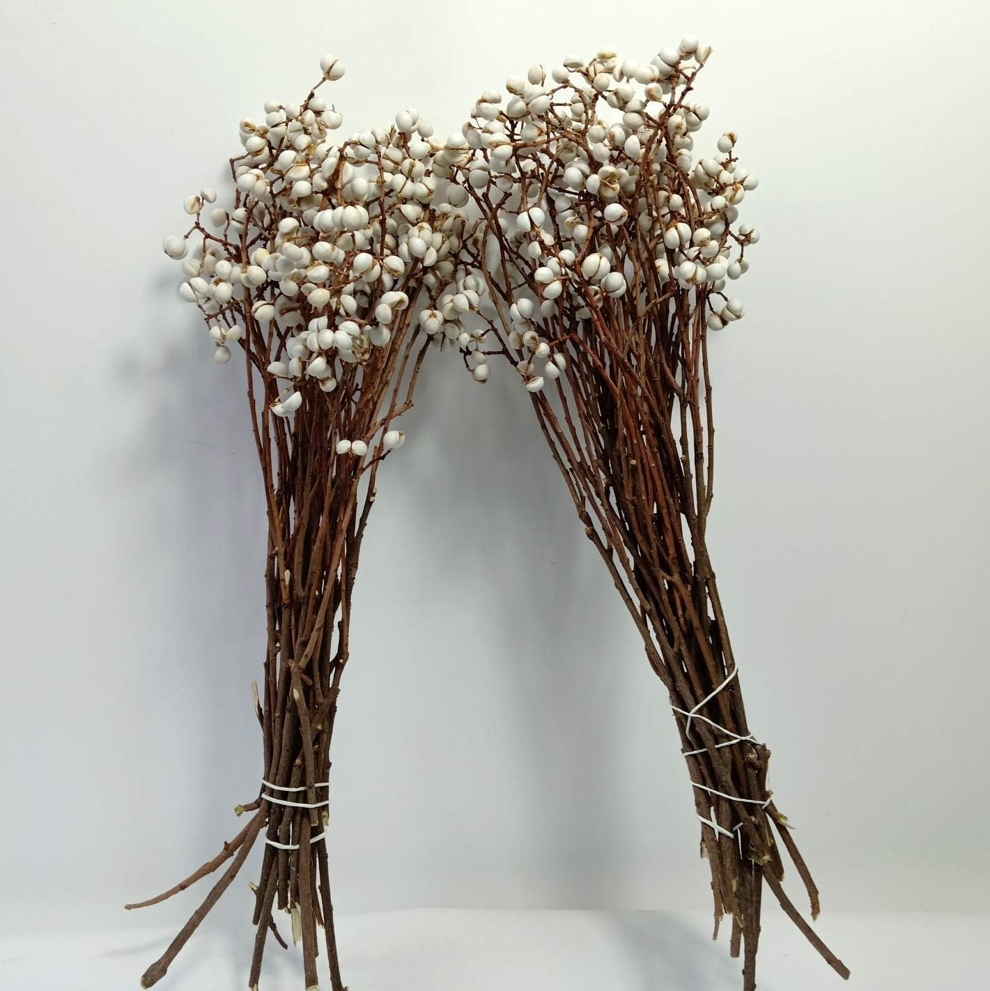 Amazon.com: Natural Dried Tallow Berries, Holly Tallow Berries, Dried ...