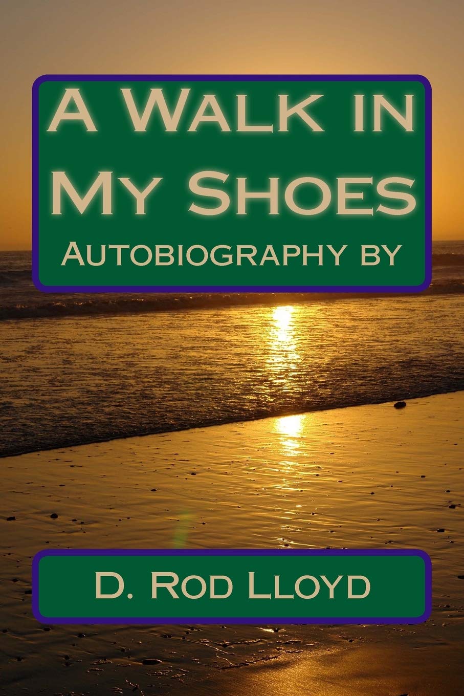 A Walk in My Shoes (Biography): Lloyd, D. Rod: 9781470098292: Amazon ...