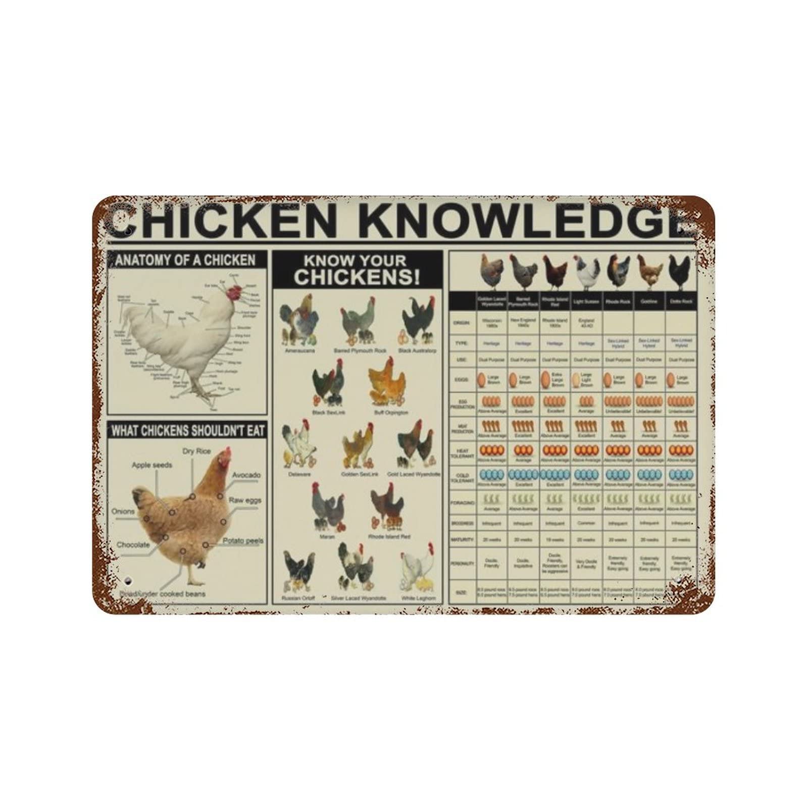 Amazon.com : Chicken Knowledge Metal Tin Signs Vintage Know Your ...
