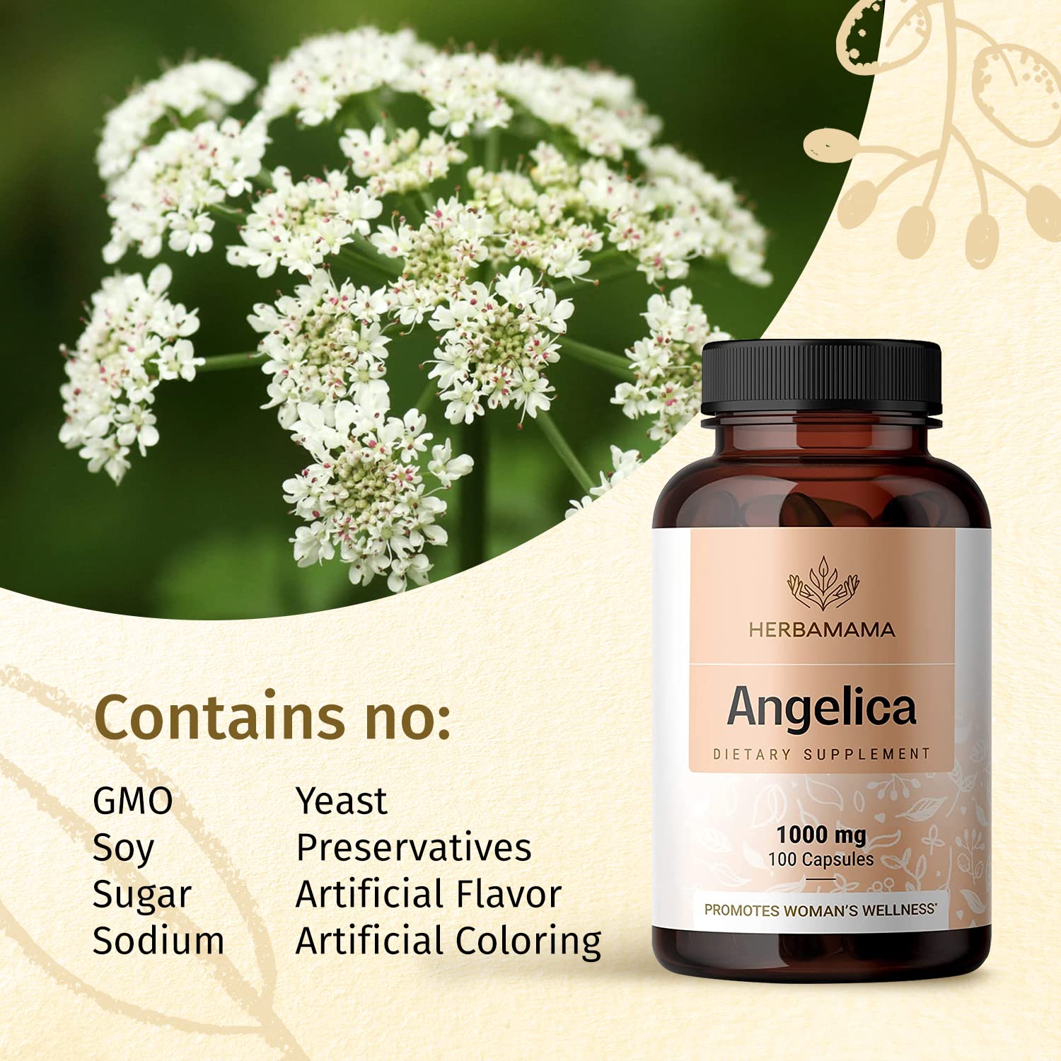 HERBAMAMA Angelica Capsules - Digestive Health, Heart & Blood ...