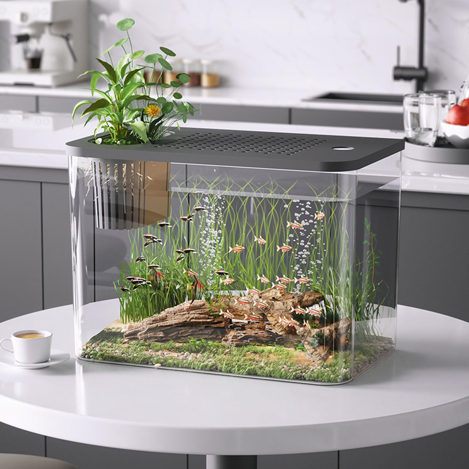 Small Fish Tank, Plastic Clear Micro Landscape Desktop Aquarium Betta ...