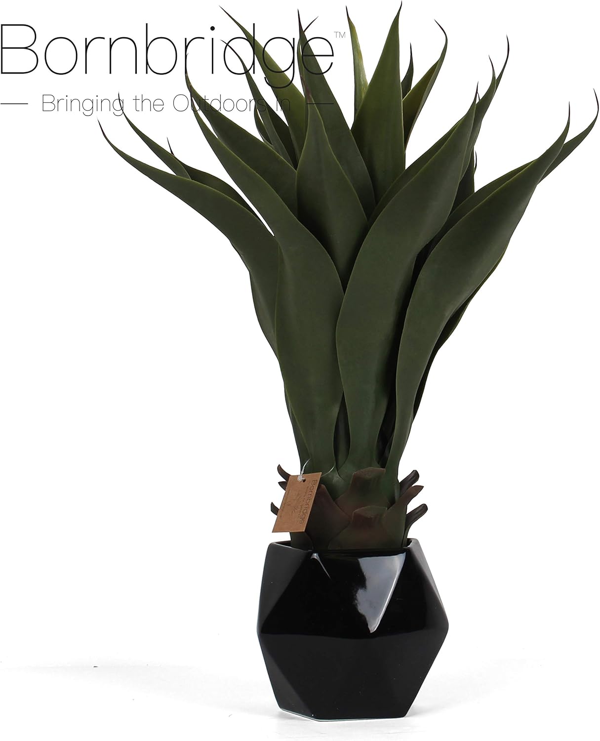 Bornbridge Planta artificial de agave Planta falsa en maceta Planta de ...