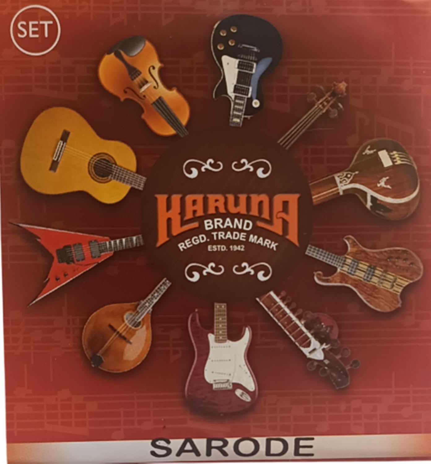 BHAVICREATION Karuna Sarode Complete Strings Set with Sympathetic ...