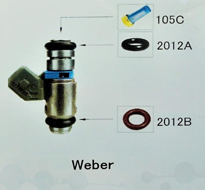 Amazon.com: (Complete) Fuel Injector Rebuild Kit for WEBER with ...