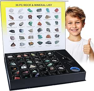 Amazon.com: BTYCityMao Rock Collection for Kids - Rock Collection ...
