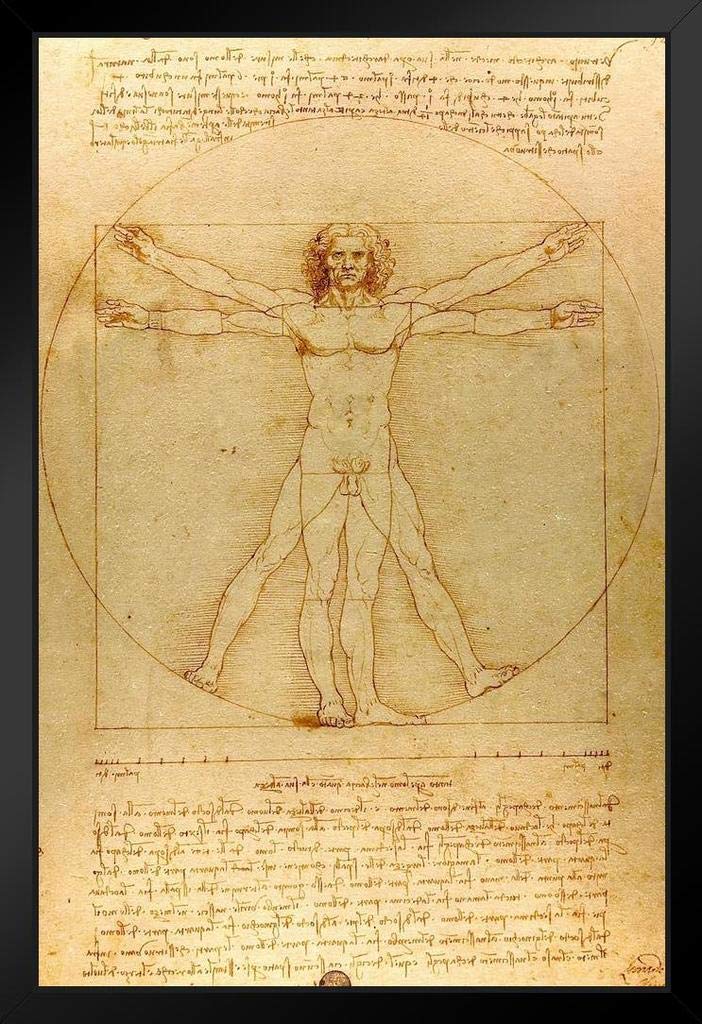 Buy Leonardo Da Vinci Vitruvian Man Drawing Circa 1490 Human Body ...