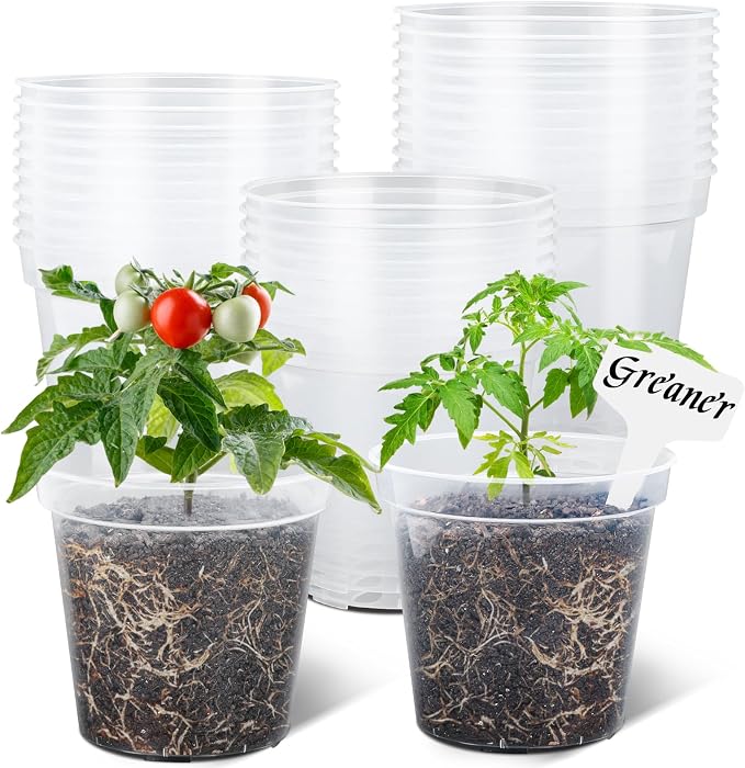 Amazon.com: GREANER 5 Inch 30 Packs Clear Plant Pots, Transparent ...