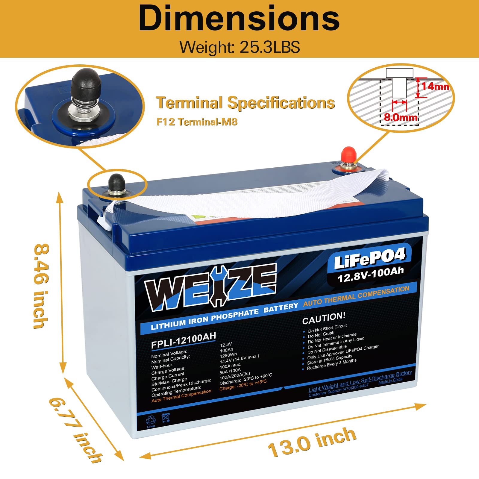 Snapklik.com : WEIZE 12V 100Ah LiFePO4 Lithium Battery