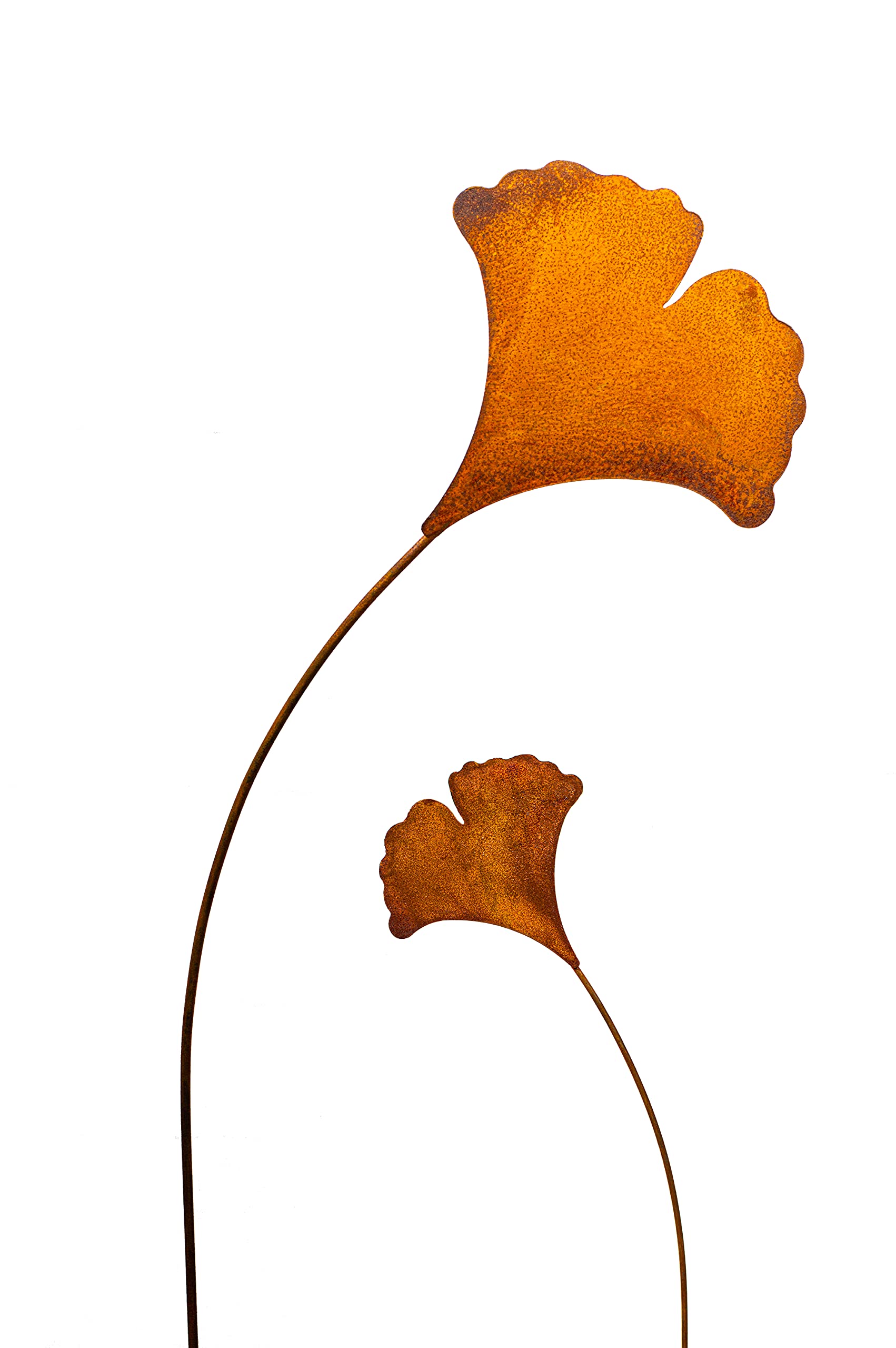 Bloemenhuber tuinsteker set 2 x varenblad (klein + groot) metaal roest ...