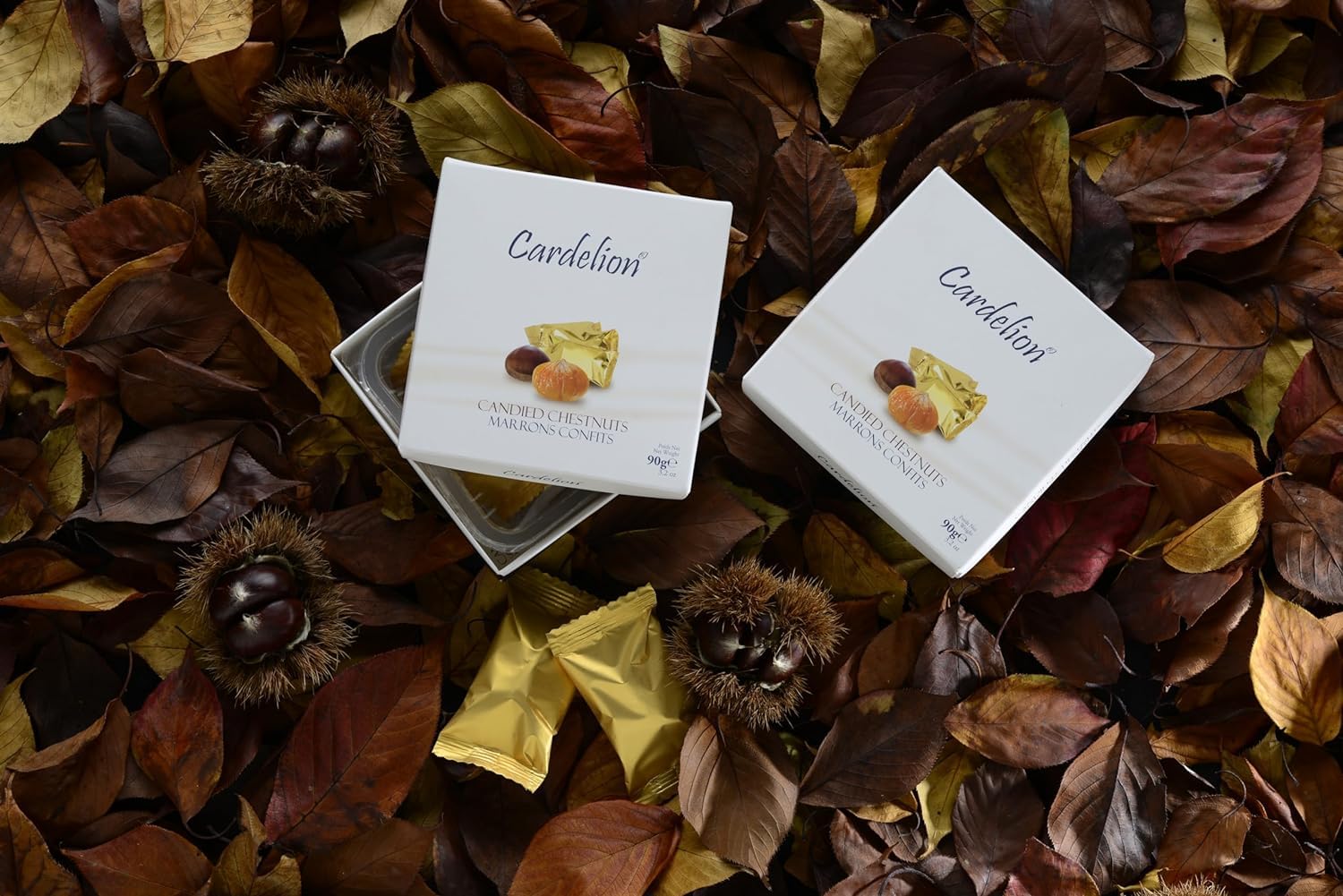 Amazon.com: Cardelion Candied Chestnuts (90 Gram 3.2 oz, 5 Pieces ...